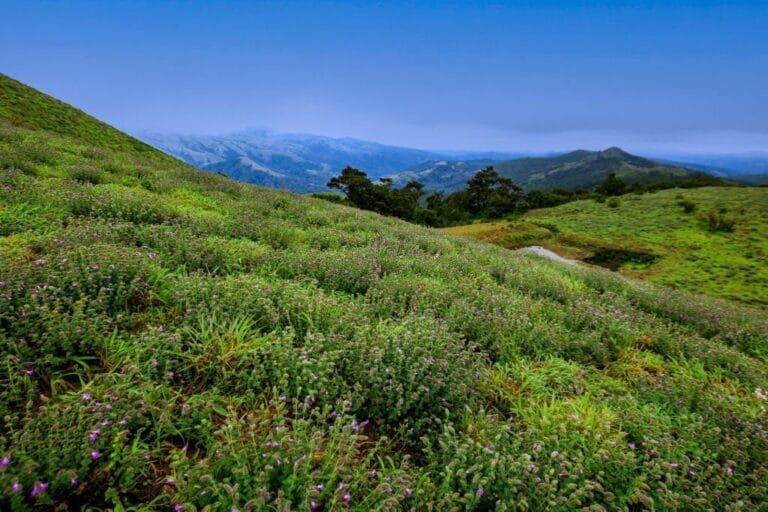 Less Crowded Hill Stations in India { Complete Guide }